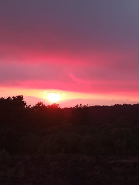 Catania: Sunset Trekking on Mount Etna with Wine Tasting - The Experience on the Ground