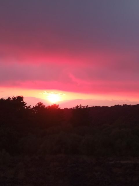 Catania: Sunset Trekking on Mount Etna with Wine Tasting - Final Thoughts: Is It Worth It?