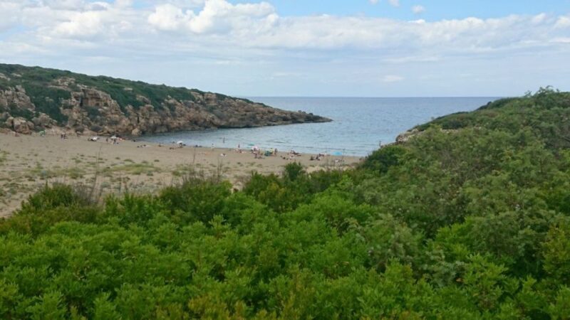 Catania: Vendicari, Marzamemi and Noto Day Trip - Who Will Love This Tour?