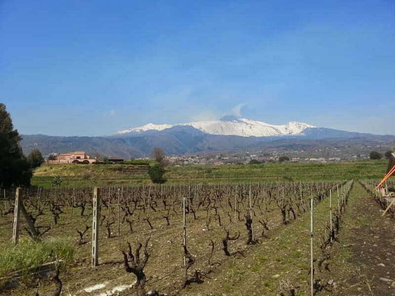 Catania : Wine and Lunch Tour - Engaging Introduction