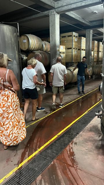 Catania: Wine Tour - Key Points