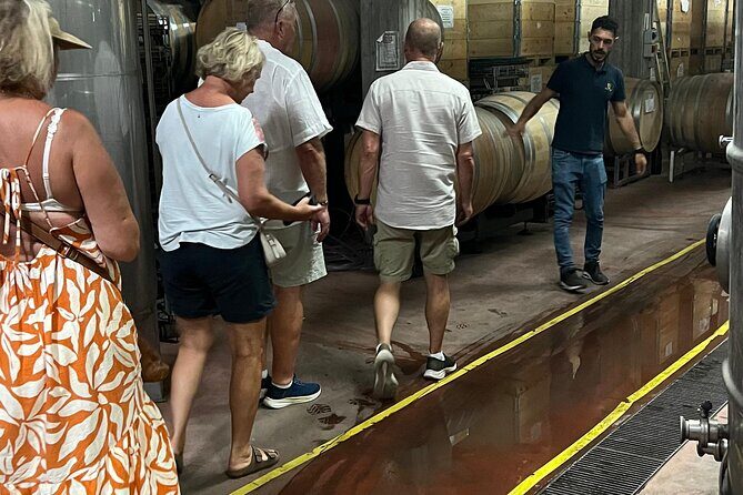 Catania: Wine Tour - A Deep Dive into the Experience
