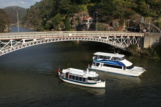 Cataract Gorge Cruise 1:30 pm - An Overview of the Cataract Gorge Cruise Experience