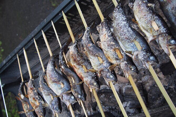 Catch and Dine A Gourmet Fishing Experience in Miyagi - Key Points