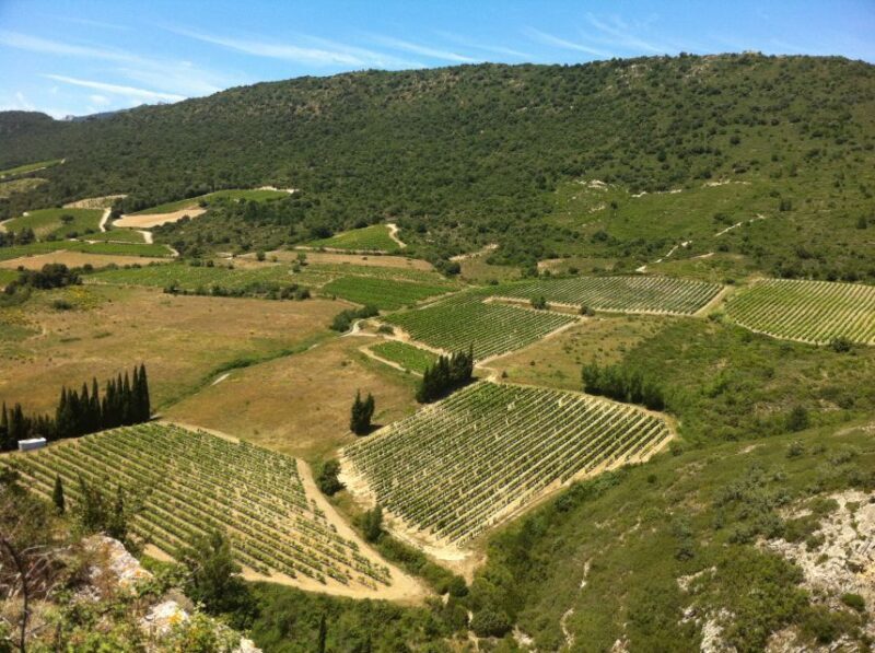 Cathar Castles: Quéribus and Peyrepertuse - Who Will Love This Tour?