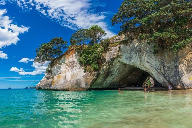 Cathedral Cove and Hot Water Beach Private Tour - Key Points: What Makes This Tour Special