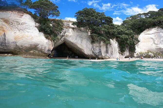 Cathedral Cove & Coromandel Peninsula Small-Group Day Tours - Key Points from the Cathedral Cove & Coromandel Tour