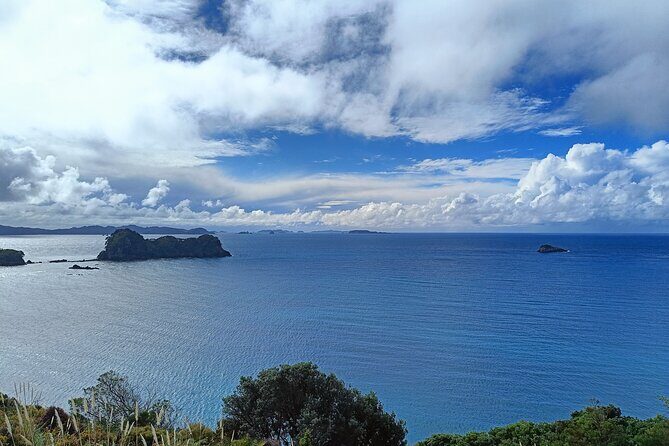 Cathedral Cove & Coromandel Private Experience from Auckland - The Details That Make It Special