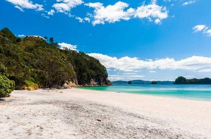 Cathedral Cove & Coromandel Private Experience from Auckland - Final Thoughts: Who Will Love This Tour?