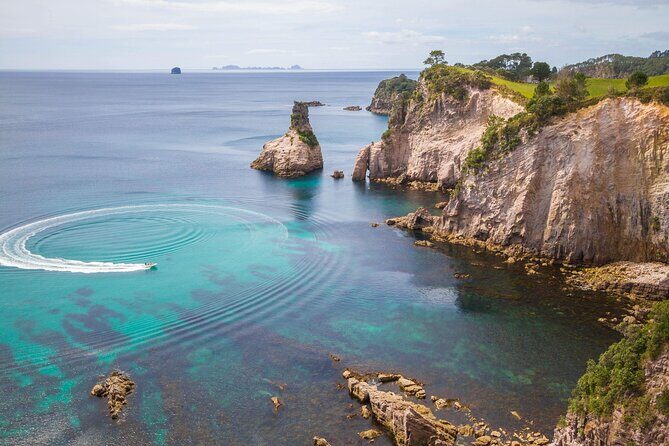 Cathedral Cove & Coromandel, Small-Group Tour from Auckland - Practical Aspects and Value