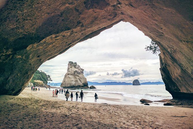 Cathedral Cove Day Trip from Auckland - What’s Included and What’s Not
