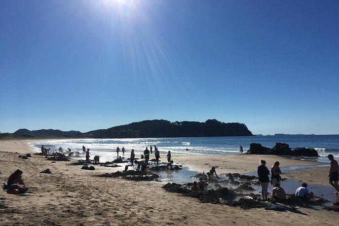 Cathedral Cove Day Trip from Auckland - What Travelers Are Saying