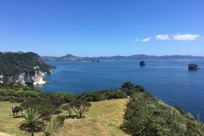 Cathedral Cove Day Trip from Auckland - Practical Tips for Your Trip