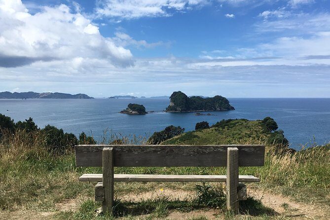 Cathedral Cove Day Trip from Auckland - Who Is This Tour Best For?