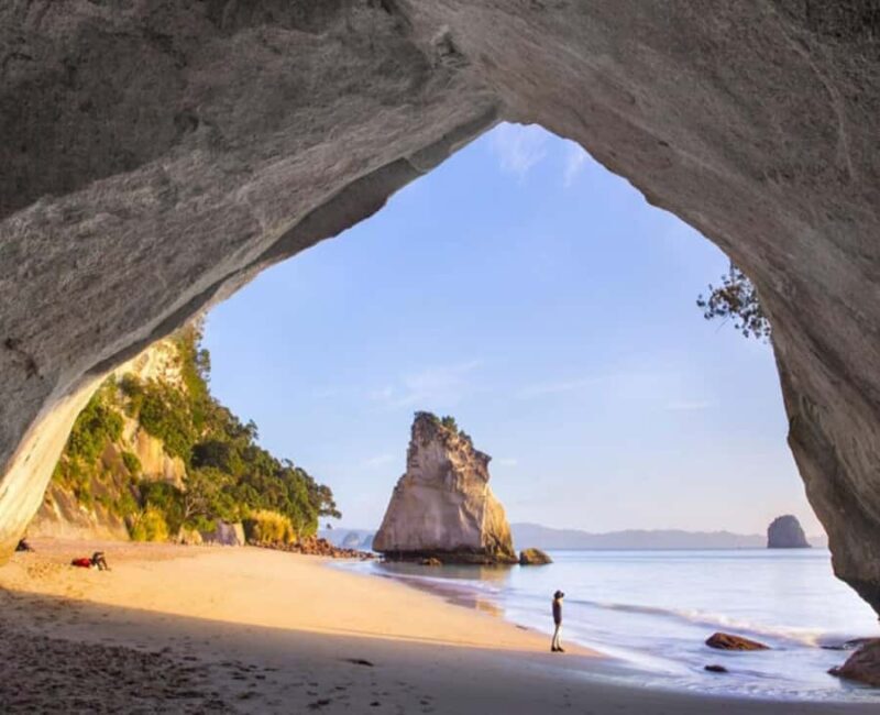 Cathedral Cove Electric Fat Tyre Bike Tour with Local Guide - An Introduction to the Experience