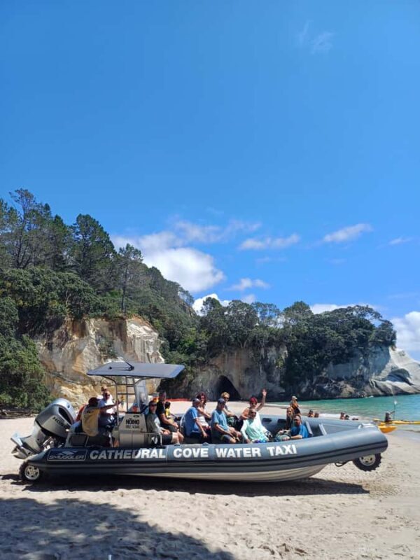 Cathedral Cove Electric Fat Tyre Bike Tour with Local Guide - Who Will Love This Tour?