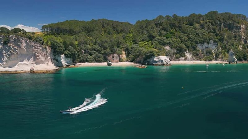 Cathedral Cove Electric Fat Tyre Bike Tour with Local Guide - Final thoughts: