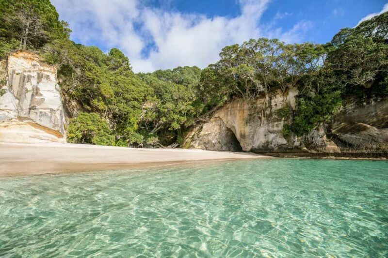 CATHEDRAL COVE & HOT WATER BEACH Day Tour from Auckland - Key Points