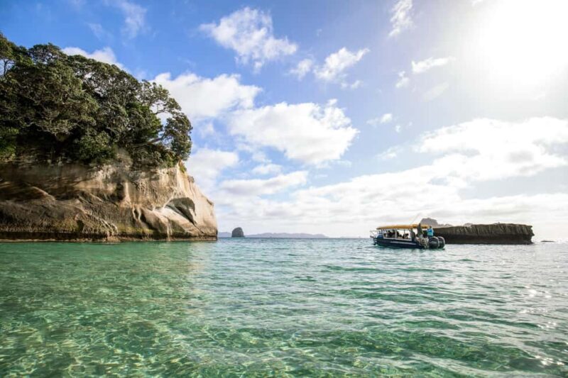 CATHEDRAL COVE & HOT WATER BEACH Day Tour from Auckland - Final Thoughts