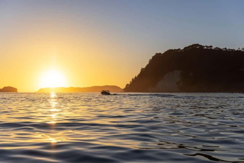 CATHEDRAL COVE & HOT WATER BEACH Day Tour from Auckland - FAQs