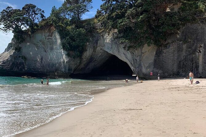 Cathedral Cove & Hot water beach -Full Day Tour: PRIVATE TOUR - Exploring the Coromandel Peninsula in Style