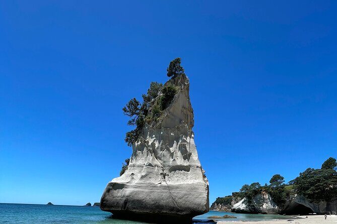 Cathedral Cove & Hot water beach -Full Day Tour: PRIVATE TOUR - Transport, Timing, and Booking Details