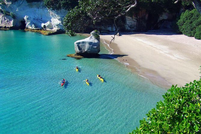 Cathedral Cove Kayak Tour - The Experience: What to Expect on the Tour