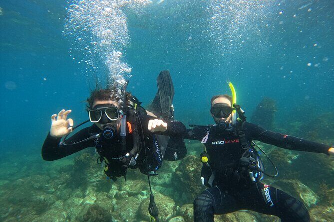 Cathedral Cove Marine Reserve - Specialised Boat Snorkeling - FAQs