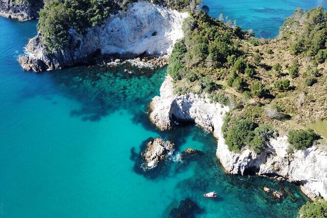Cathedral Cove Scenic Cruises Whitianga - Discovering Coromandel’s Coastal Gems