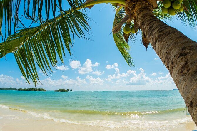 Catlina Island | Free Diving and Transportation - Exploring Catalina Island: A True Caribbean Getaway