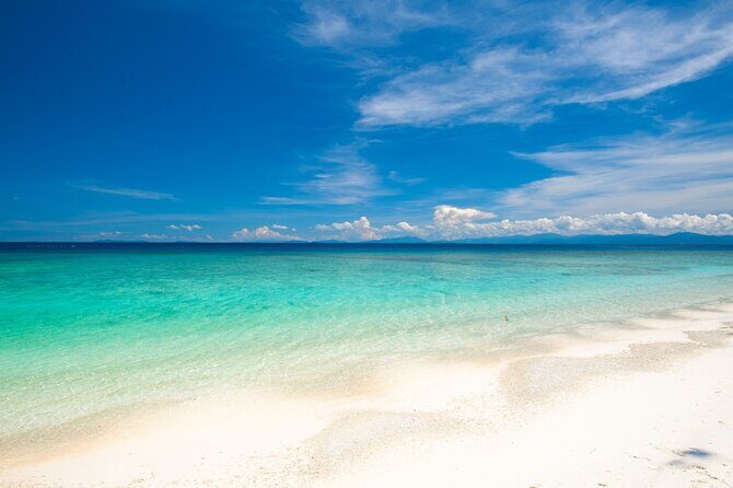 Catlina Island | Free Diving and Transportation - Return Trip and Final Stretch