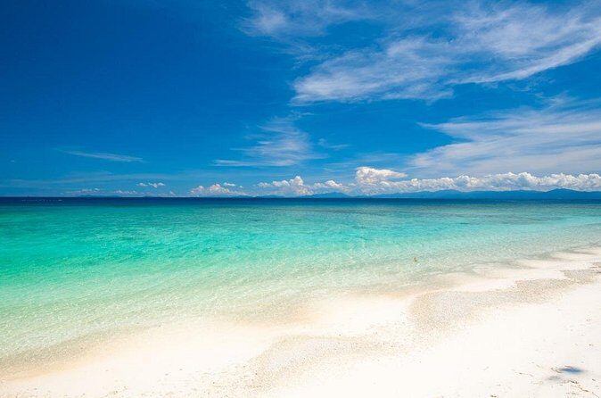 Catlina Island | Free Diving and Transportation - Who Will Love This Tour?