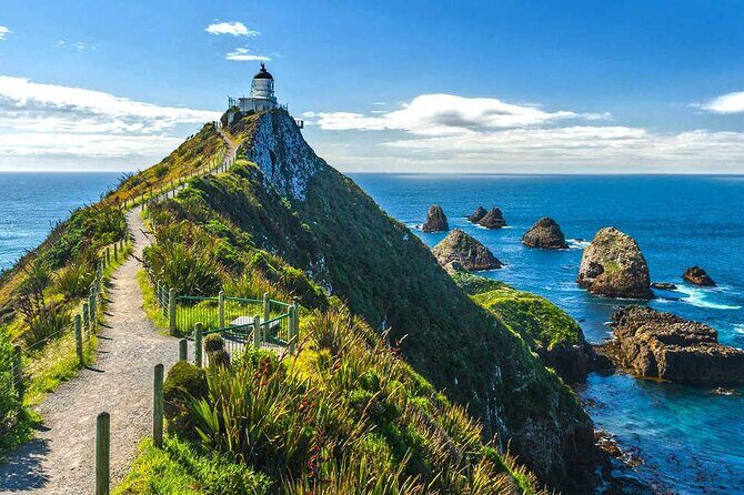 Catlins Cruiser Private Tour from Dunedin Cruise Port - Exploring the Itinerary in Detail