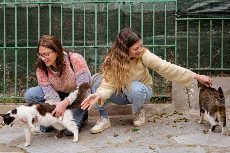 Cats of Athens - Walking Tour - Key Points