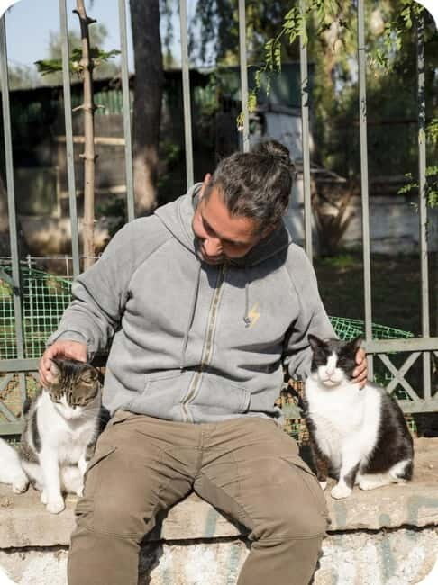 Cats of Athens - Walking Tour - An Introduction to the Cats of Athens Tour