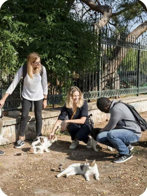 Cats of Athens - Walking Tour - Who Will Love This Tour?