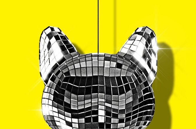 CATS: The Jellicle Ball on Broadway Ticket - In-Depth: Why This Experience Stands Out