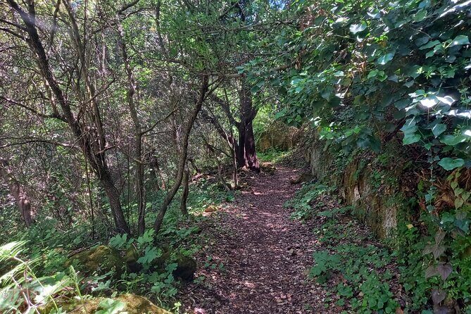 Cavagrande hiking tour - What Makes This Tour Stand Out?