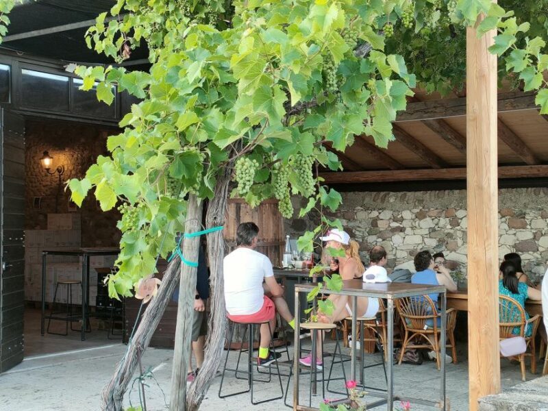 Cavaion: Lake Garda Wine & Food Tasting with Vineyard Tour - Discovering the Charm of Lake Garda’s Inland Vineyards