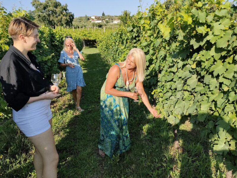 Cavaion: Lake Garda Wine & Food Tasting with Vineyard Tour - The Guide and Group Size
