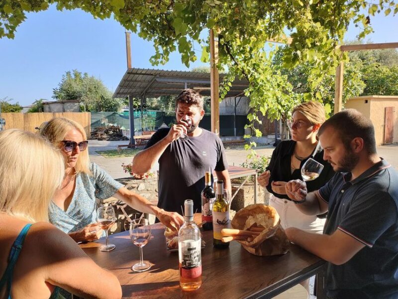 Cavaion: Lake Garda Wine & Food Tasting with Vineyard Tour - Who Will Enjoy This Tour?