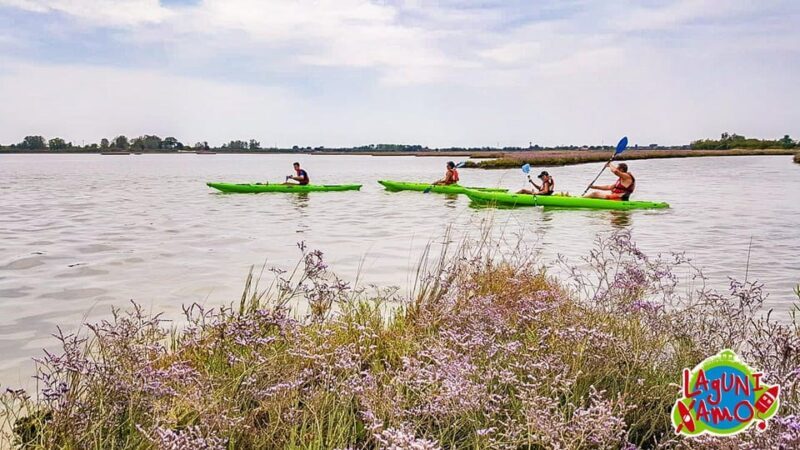 Cavallino-Treporti: Short Kayak Tour in the Venetian Lagoon - Key Points