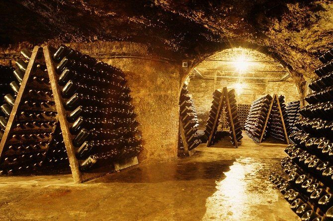 Cavas Freixenet Wine Tour from Mexico City - Introduction: Why This Wine Tour Might Be Your Next Favorite Day Trip