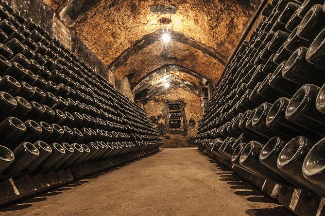 Cavas Freixenet Wine Tour from Mexico City - Key Points
