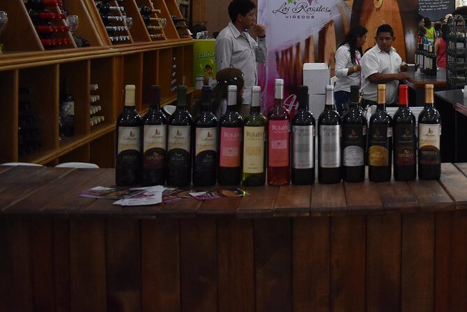 Cavas Freixenet Wine Tour from Mexico City - Practical Tips for Making the Most of Your Day