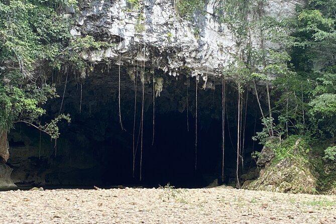 Cave Tubing Paradise and The Howler Monkey Sanctuary - Why This Tour Is Worth Considering