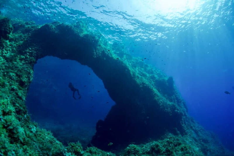 Cavern & Coves Argentario Half Day Snorkeling Tour - Who Will Love This Tour?