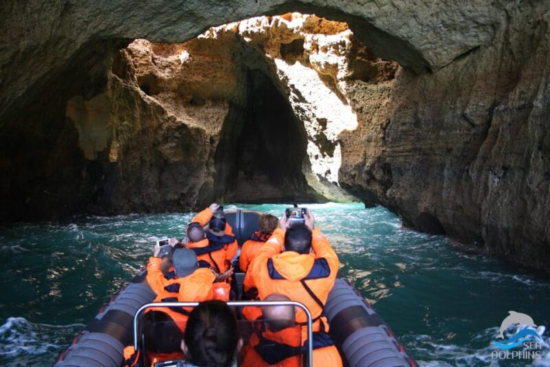 Caves & Dolphins - Combined Trip - Key Points