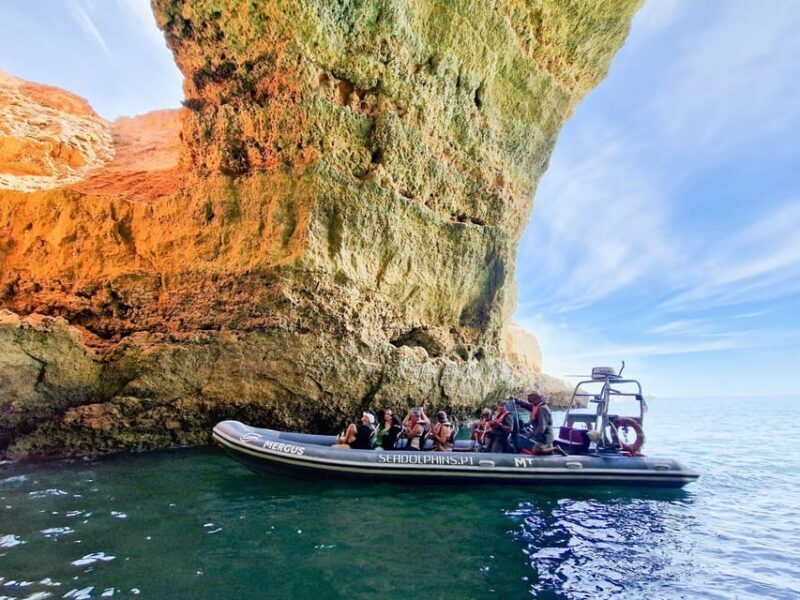 Caves & Dolphins - Combined Trip - What to Expect: Practical Details