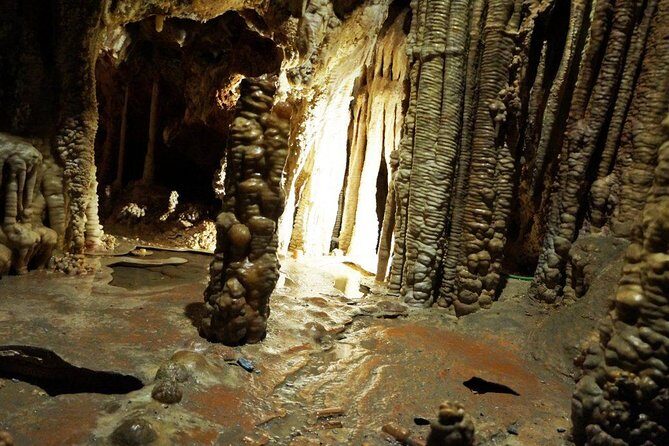 Caves of Genova Admission in Palma de Mallorca - What to Expect at the Caves of Genova